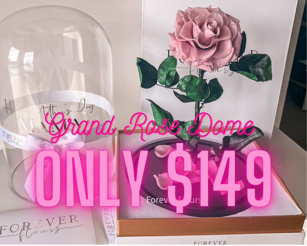 Forever Fleurs perfect gift box with real luxurious roses that lasts ...