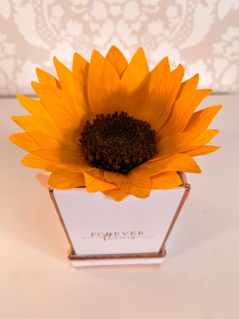Everlasting Sunflower Mini White | luxury bespoke rose gift boxes