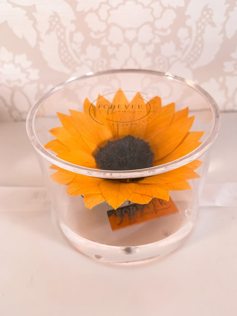 Everlasting Sunflower Single Acrylic (FREE GIFT BOX!) | luxury bespoke ...